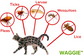 Waggie™ - Natural Anti-Flea, Tick, & Mosquito Collar For Cats (Break-A ...