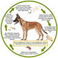Waggie™ - Natural Anti-Flea, Tick, & Mosquito Collar (Safest 8+ Months ...