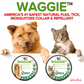 Waggie™ - Natural Anti-Flea, Tick, & Mosquito Collar (Safest 8+ Months ...